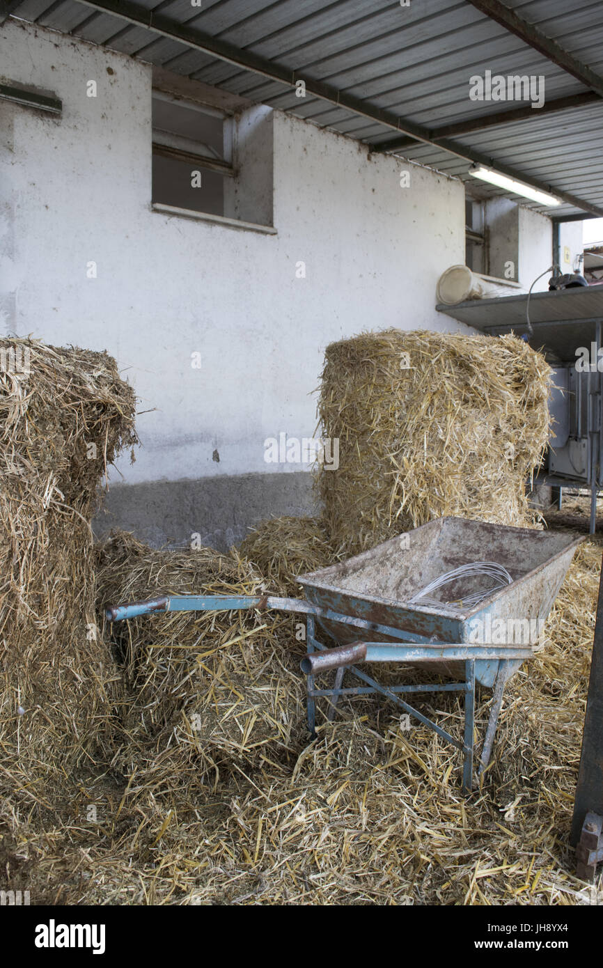 sheafs of hay in a barn with an old wheelbarrow and a hayfork Stock ...