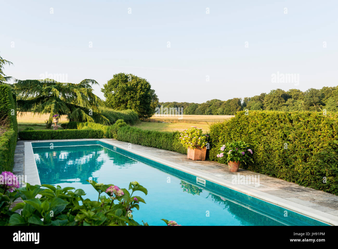 Swimming pool with hedge Stock Photo - Alamy