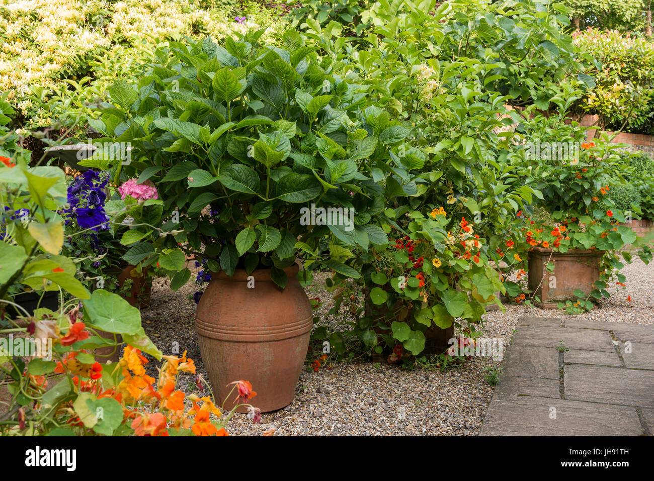 Exterior garden hi-res stock photography and images - Alamy