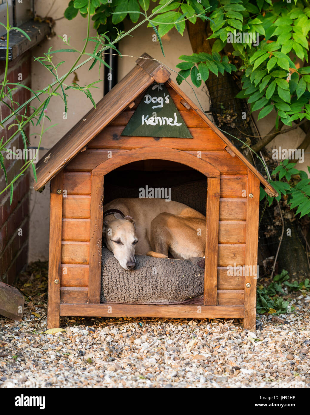 Kennel vertical hi-res stock photography and images - Alamy