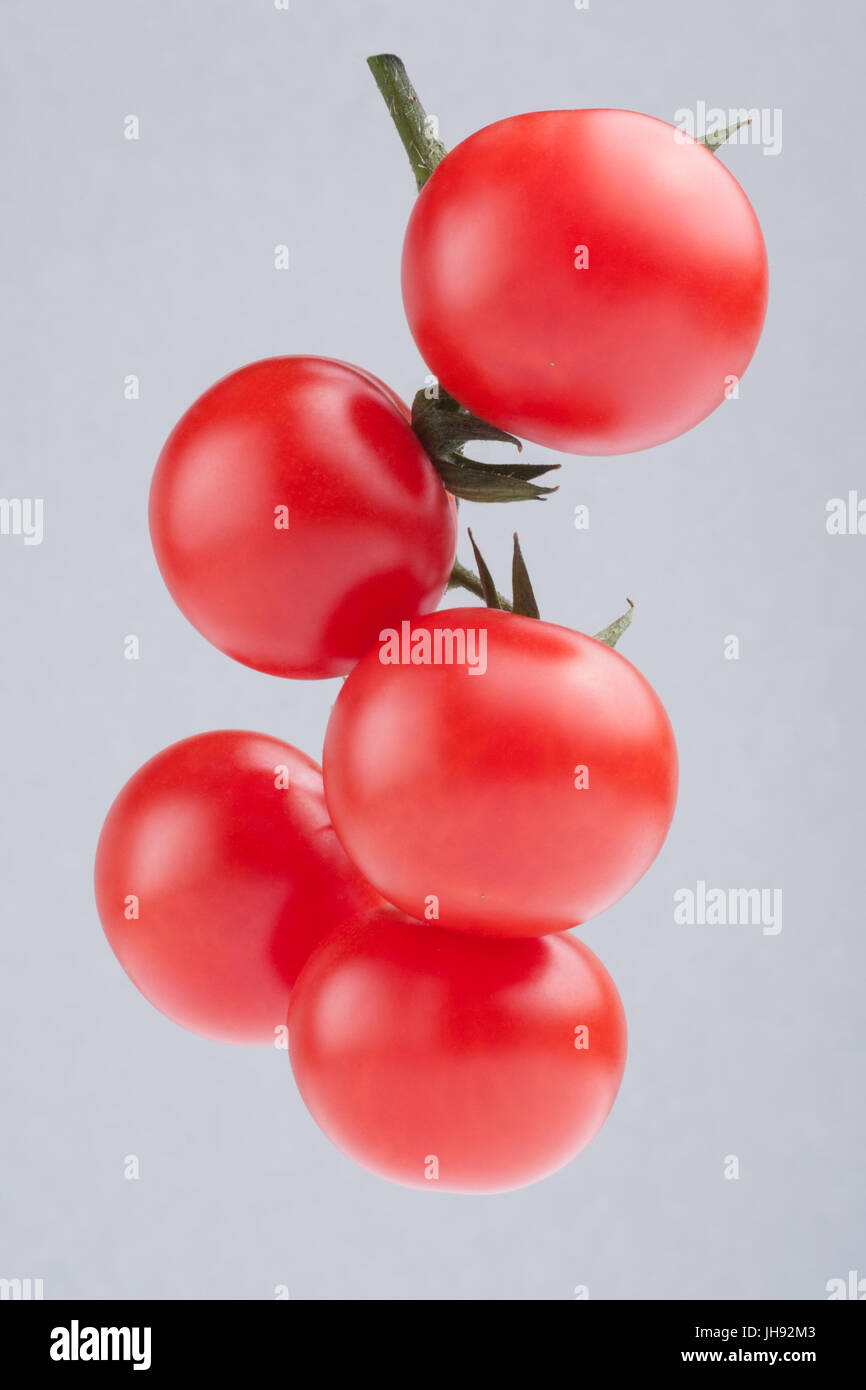 Fresh cherry tomato on white background. Studio shoot Stock Photo - Alamy