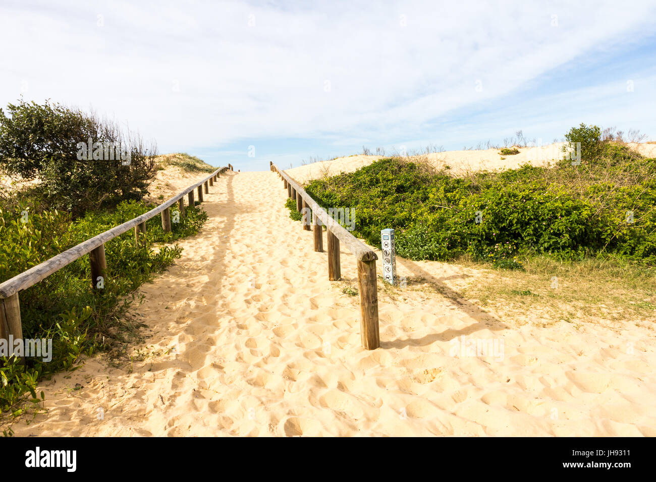Sand dunes at Curl Curl Beach, New South Wales, Australia Stock Photo ...