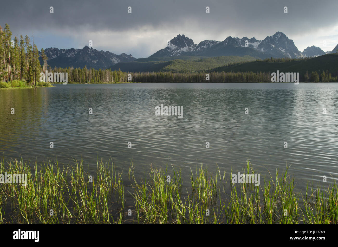 Little Redfish Lake, Sawtooth National Recreation Area Idaho Stock ...