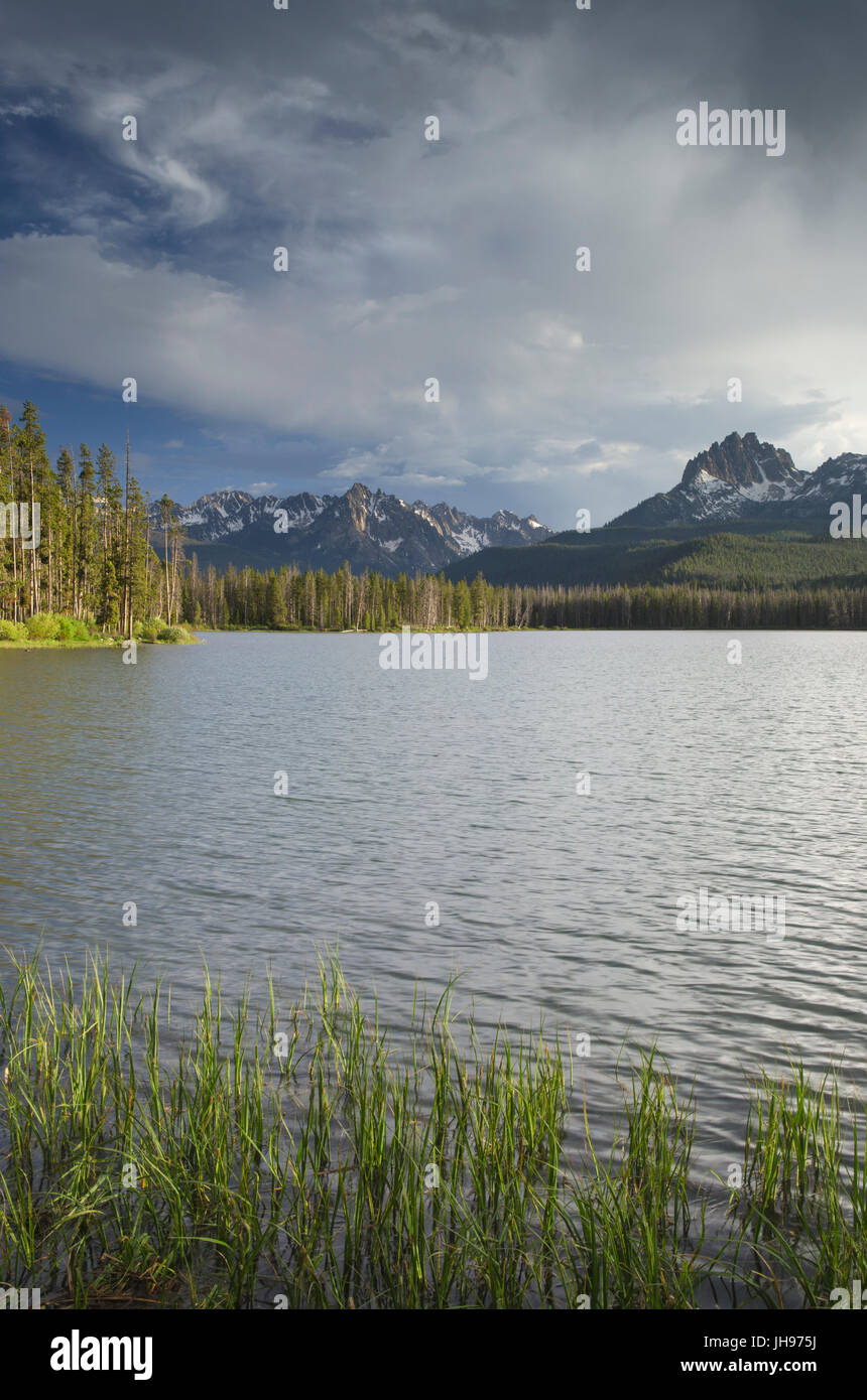 Little Redfish Lake, Sawtooth National Recreation Area Idaho Stock ...