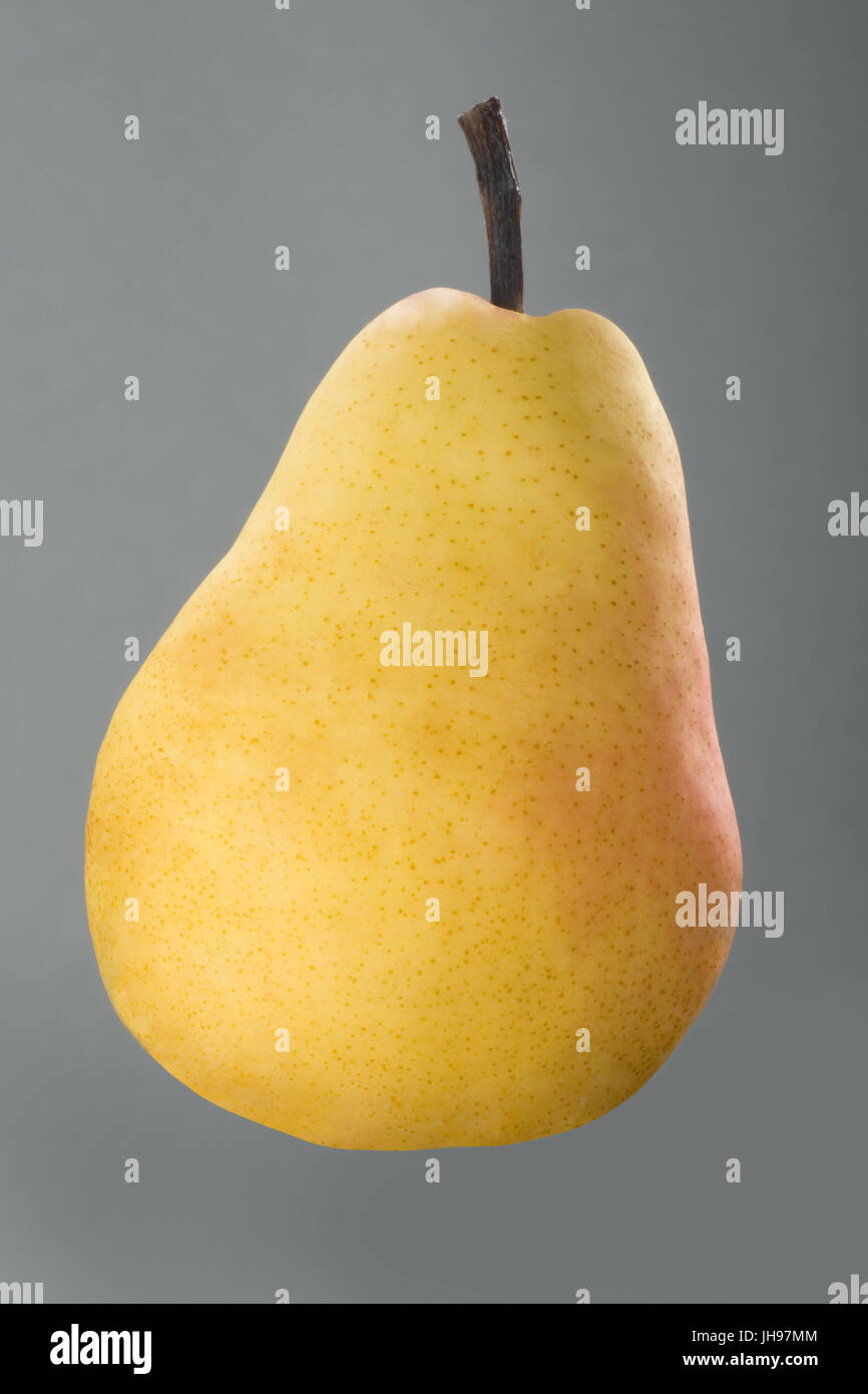 Yellow tasty pear. Drops of water. Studio shot Stock Photo - Alamy