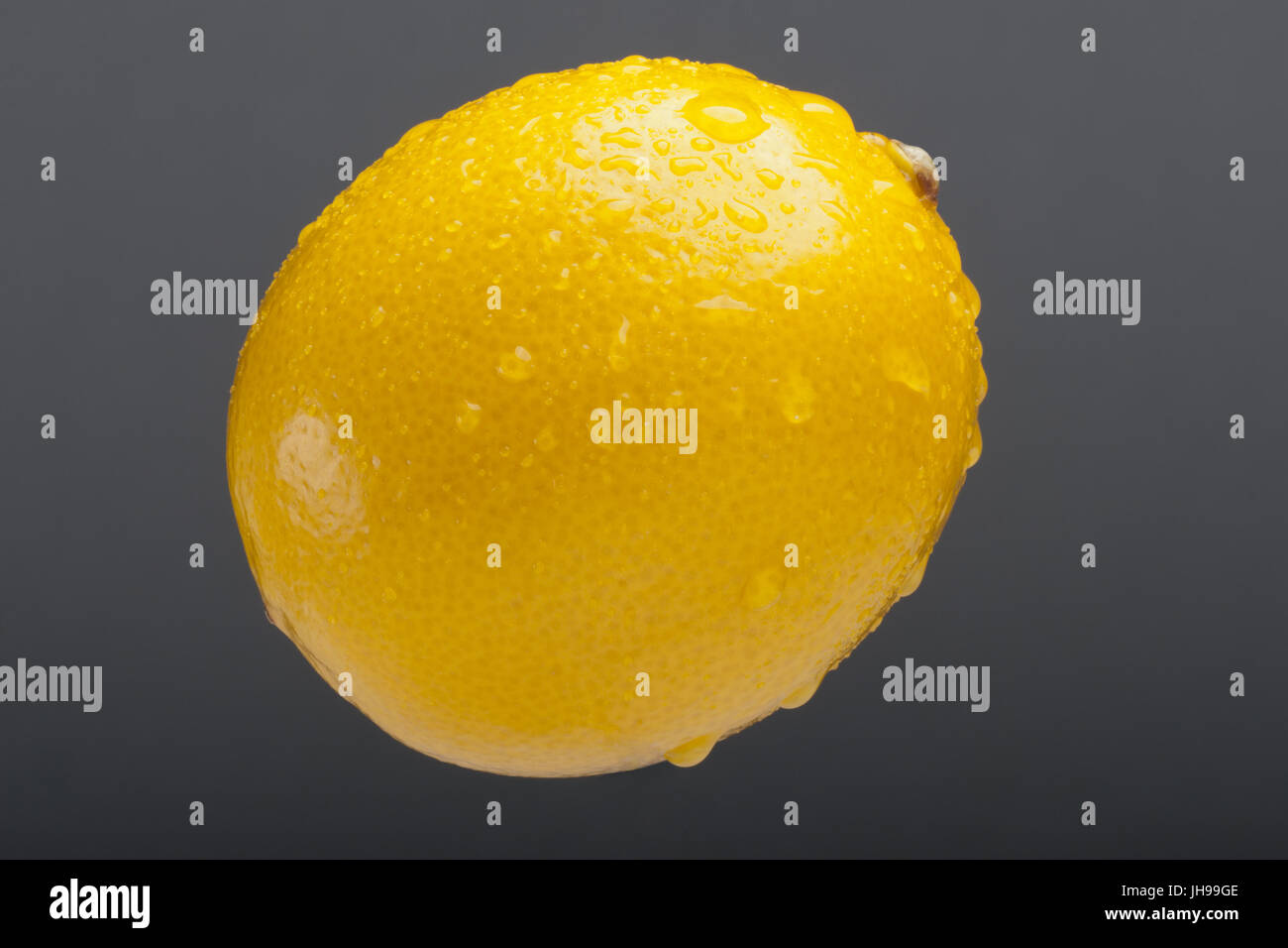Lemon, Citrus Yellow Fruit on Grey - Studio Shoot Stock Photo - Alamy