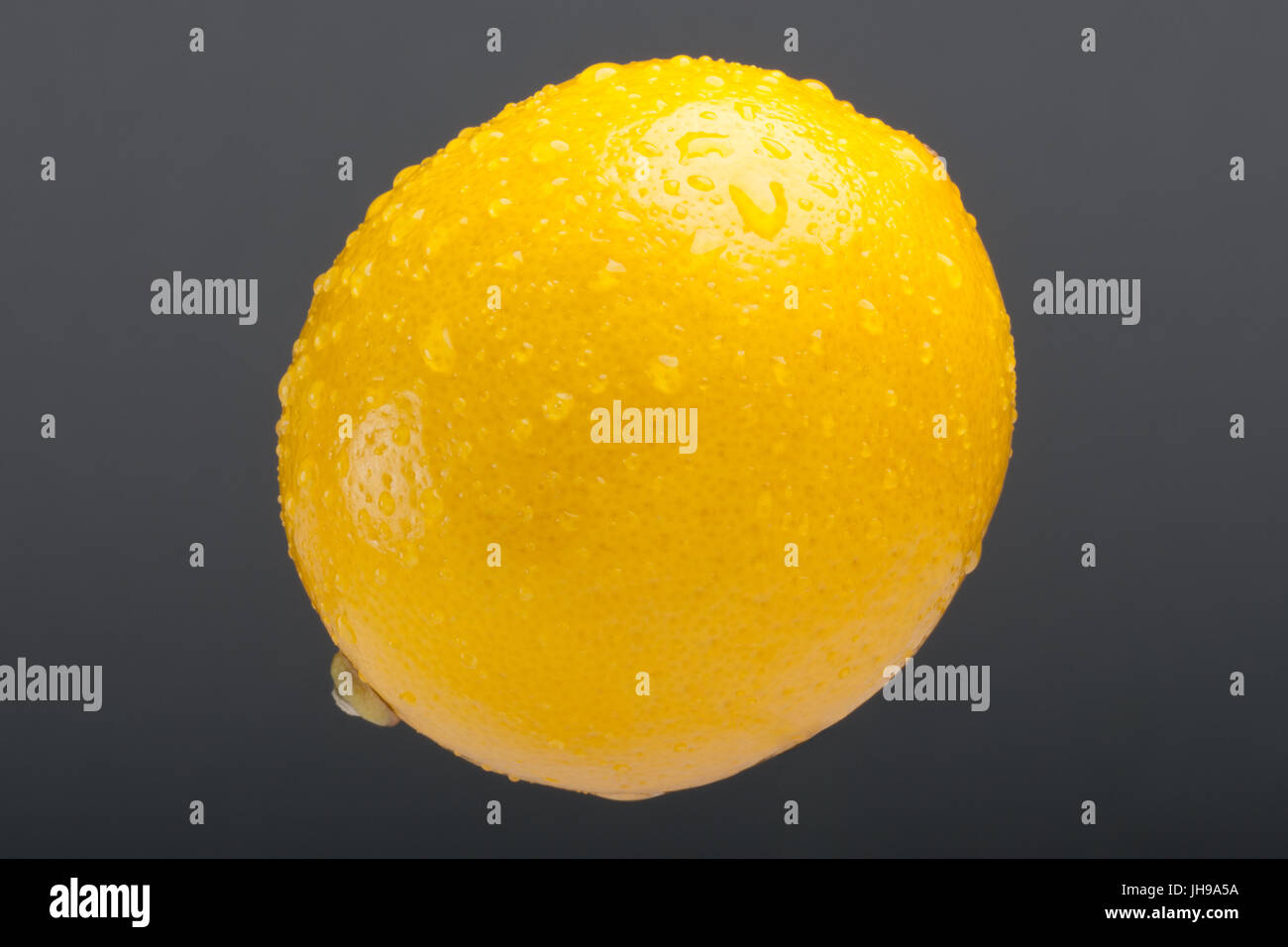Lemon, Citrus Yellow Fruit on Grey - Studio Shoot Stock Photo - Alamy
