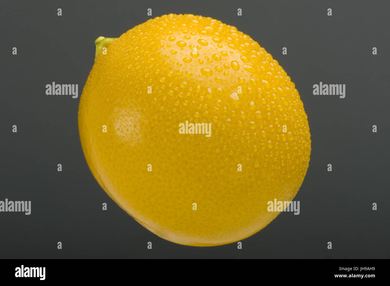 Lemon, Citrus Yellow Fruit on Grey - Studio Shoot Stock Photo - Alamy