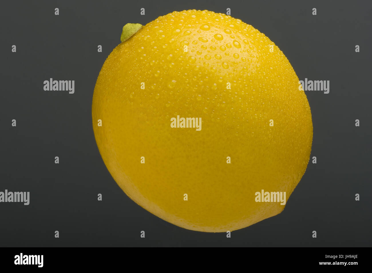 Lemon, Citrus Yellow Fruit on Grey - Studio Shoot Stock Photo - Alamy