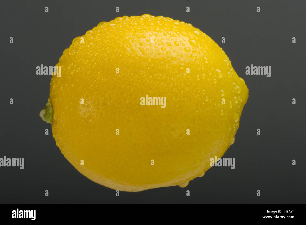 Lemon, Citrus Yellow Fruit on Grey - Studio Shoot Stock Photo - Alamy
