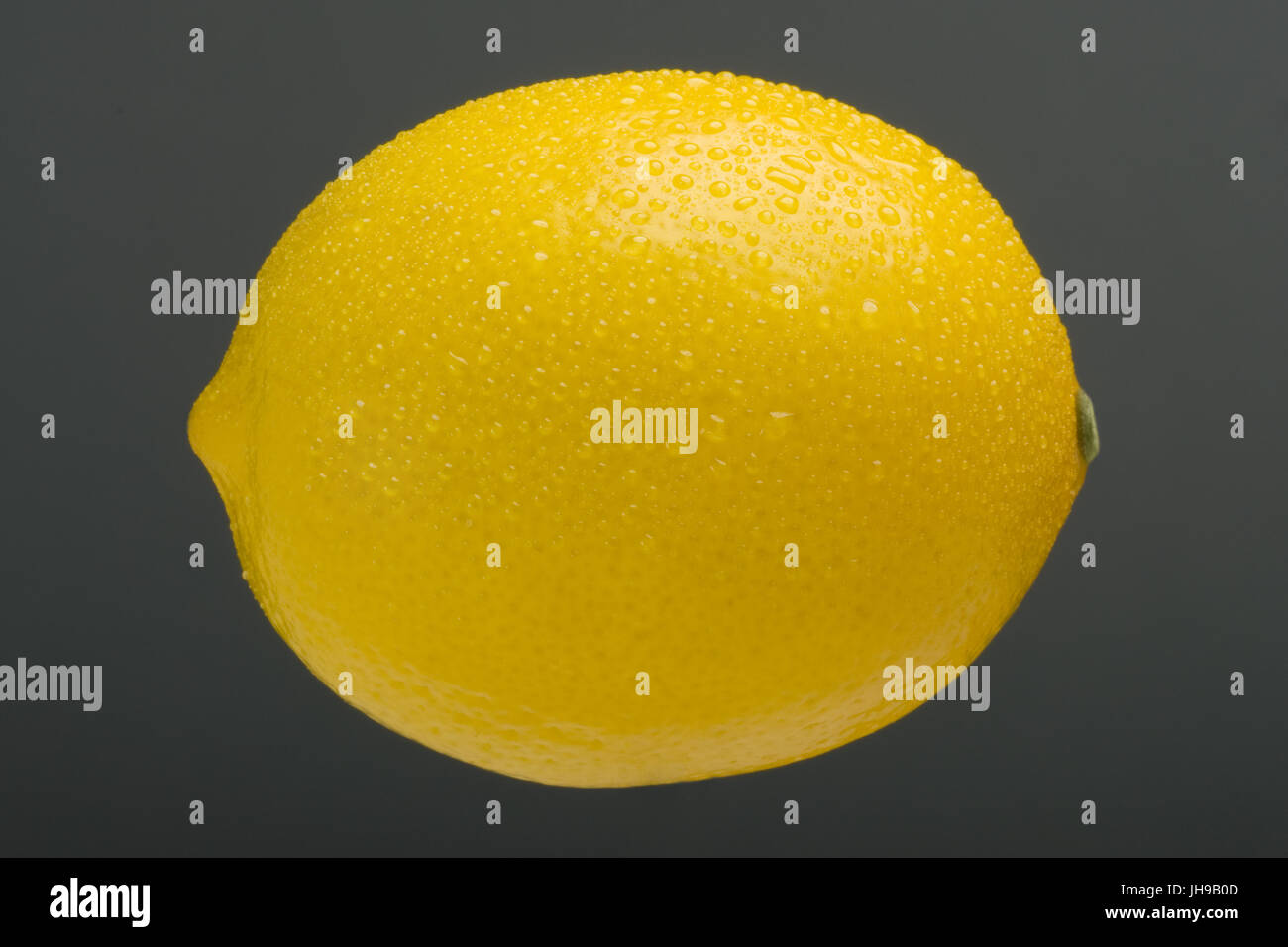 Lemon, Citrus Yellow Fruit on Grey - Studio Shoot Stock Photo - Alamy