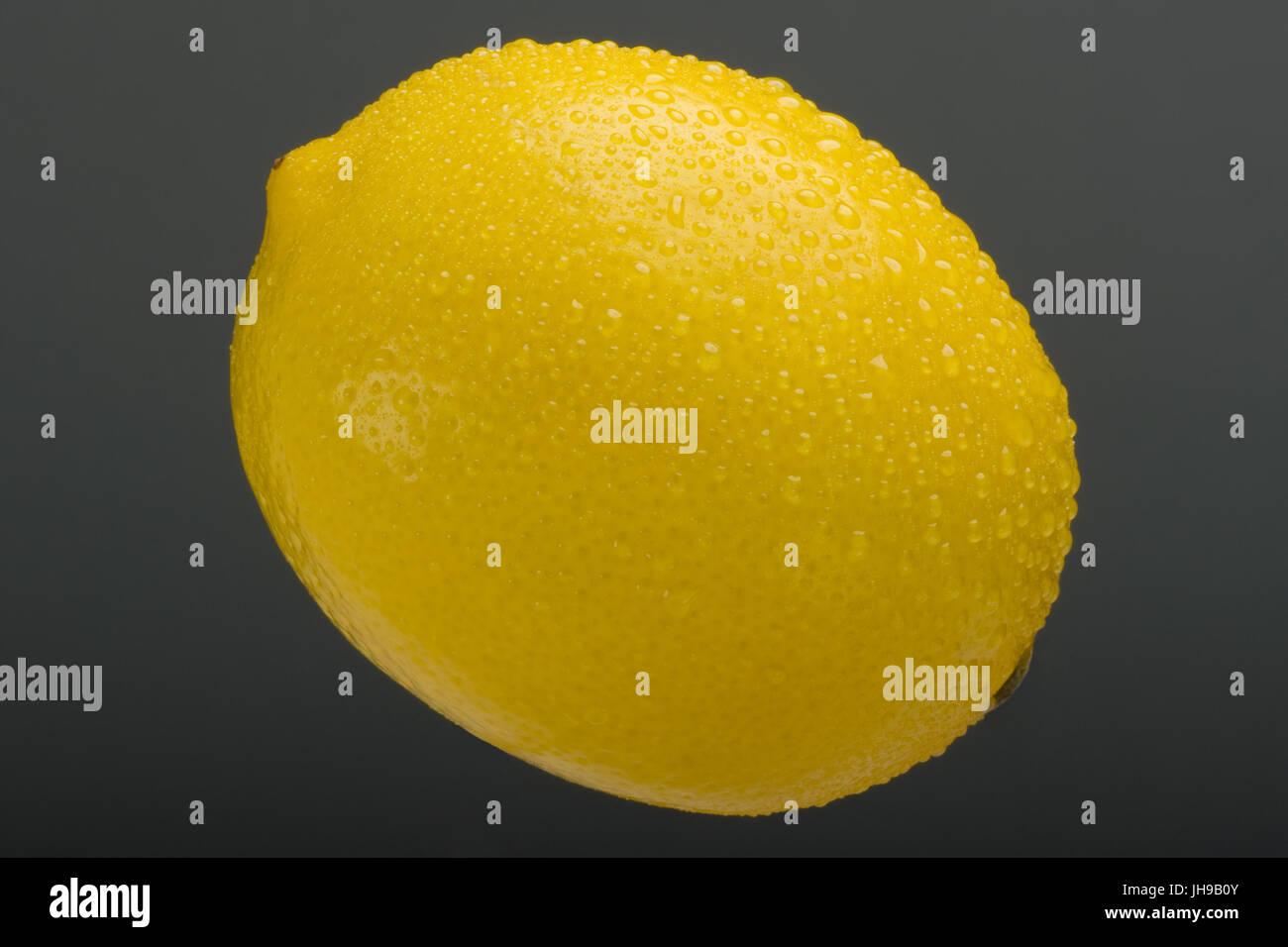 Lemon, Citrus Yellow Fruit on Grey - Studio Shoot Stock Photo - Alamy