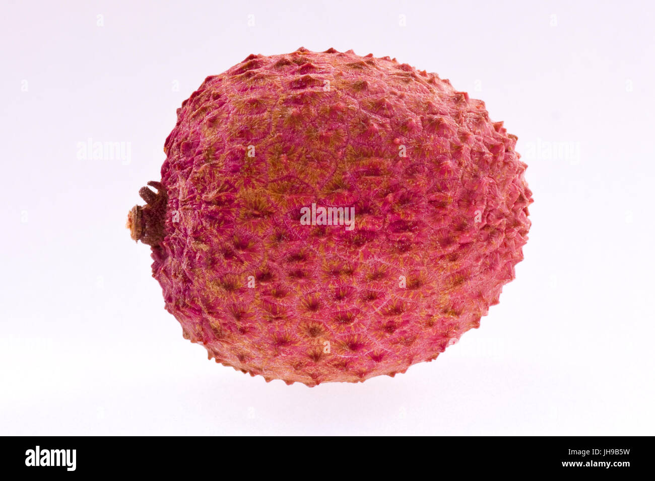 Lychee. Ripe fresh lychee on white background in photo studio Stock ...