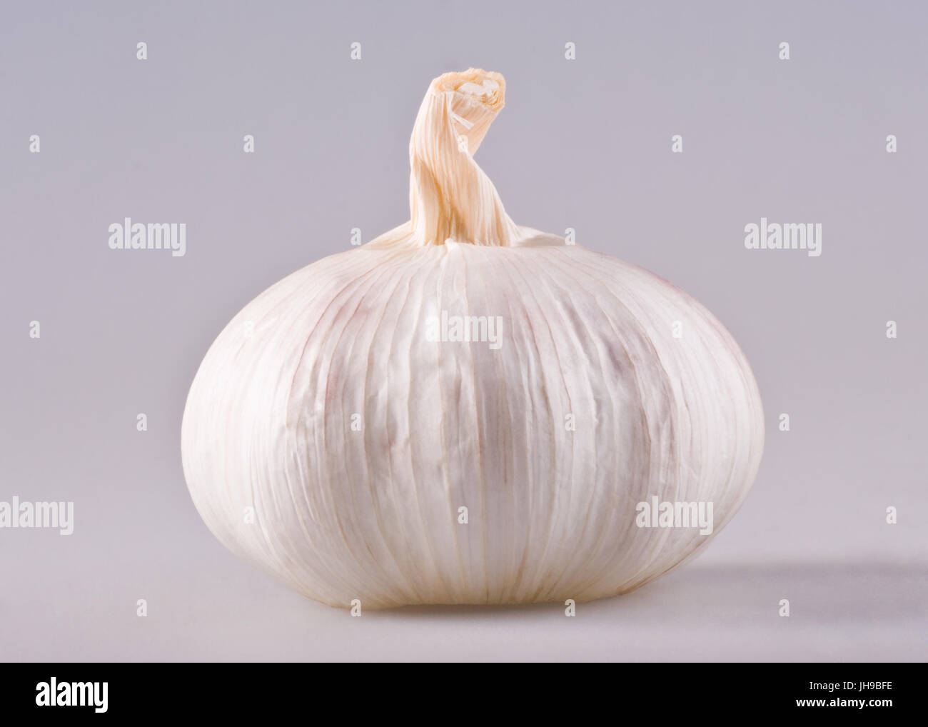 Single whole white garlic on white background. Studio shoot Stock Photo ...