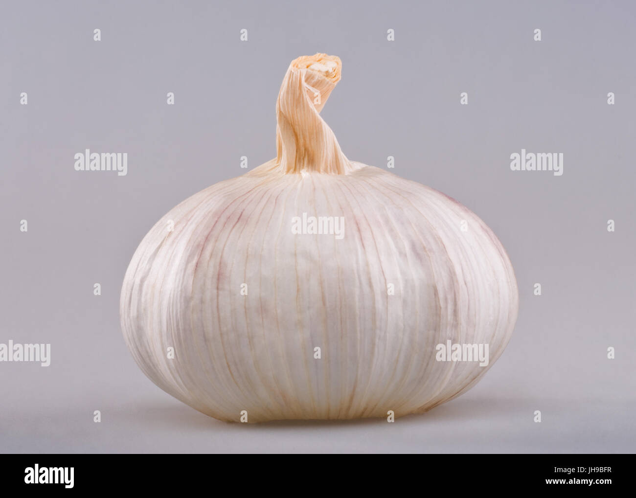 Single whole white garlic on white background. Studio shoot Stock Photo ...