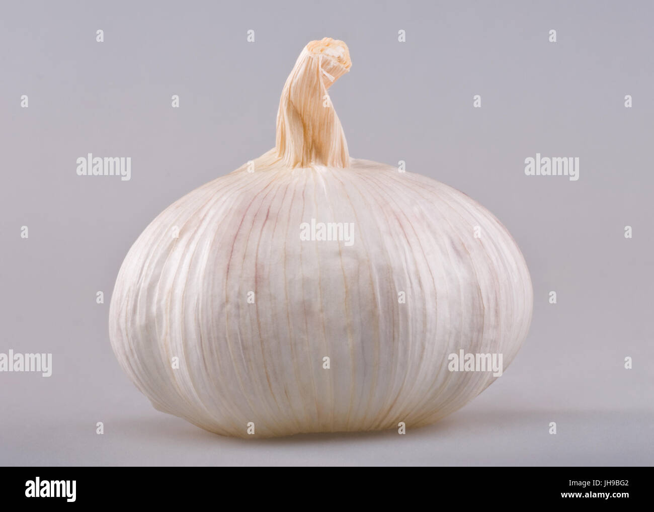 Single whole white garlic on white background. Studio shoot Stock Photo ...