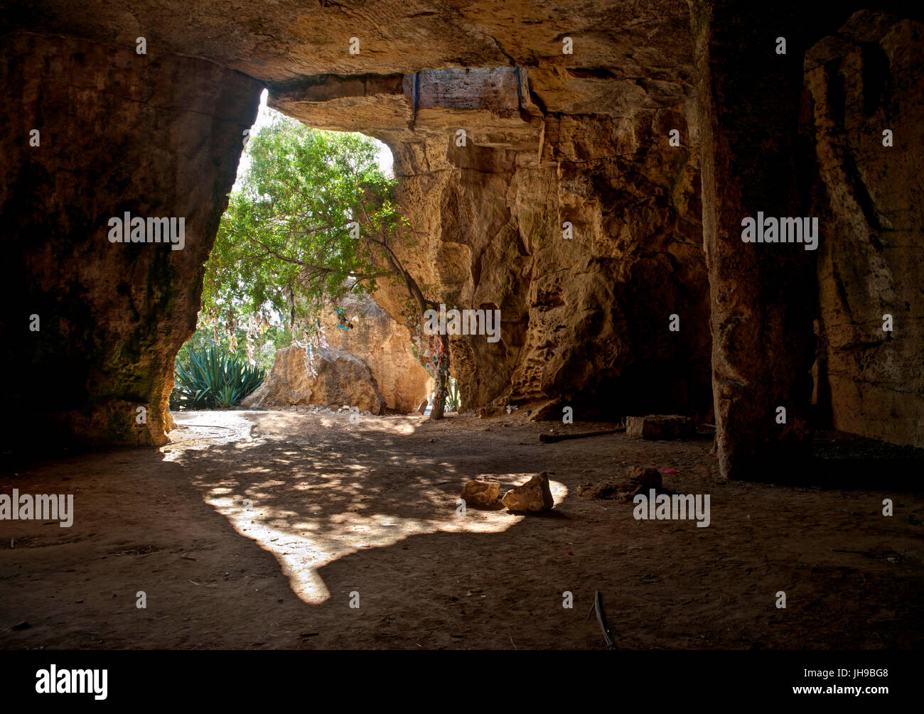 Tree cave hi-res stock photography and images - Alamy