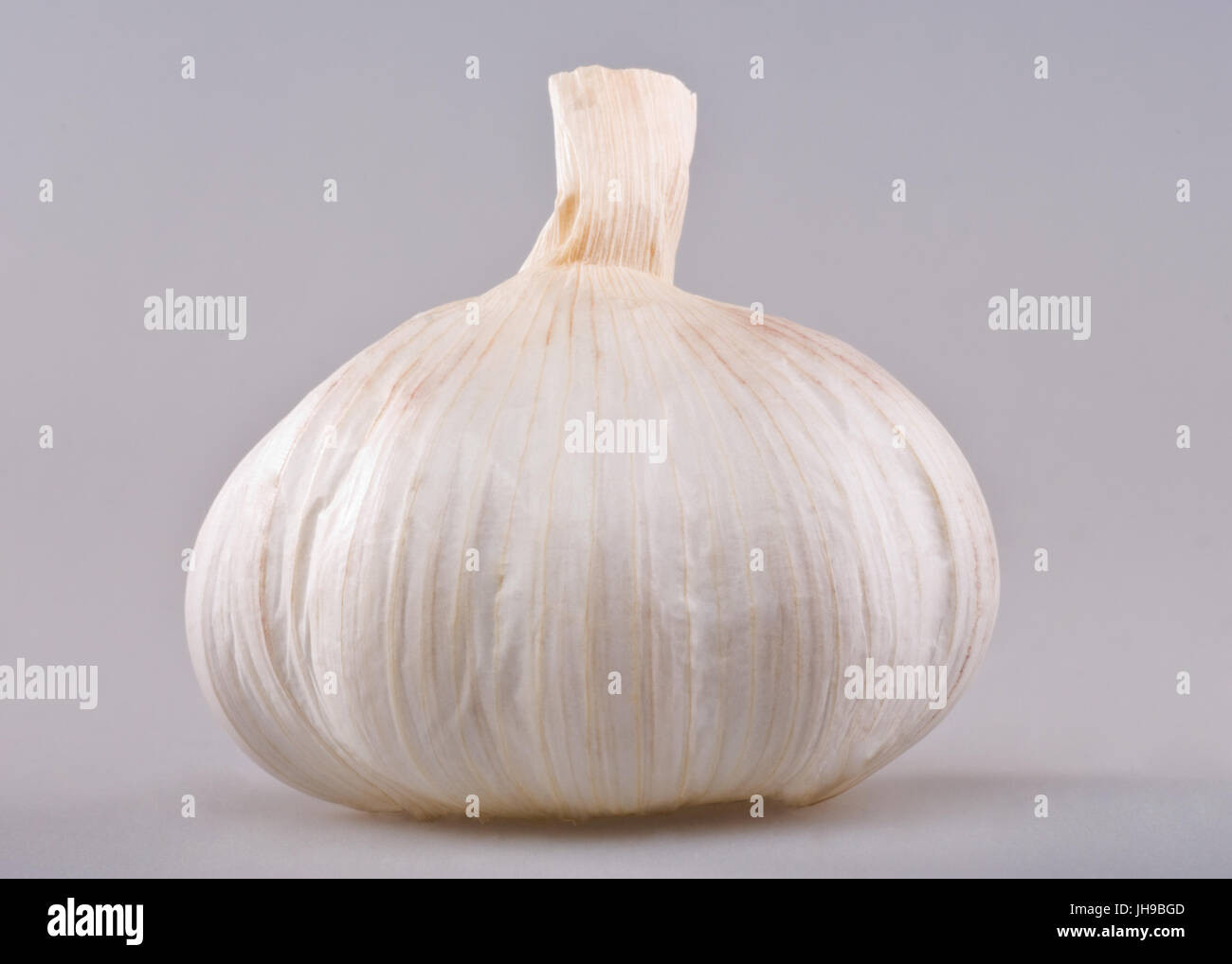 Single whole white garlic on white background. Studio shoot Stock Photo ...