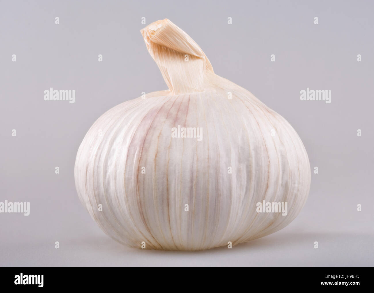 Single whole white garlic on white background. Studio shoot Stock Photo ...