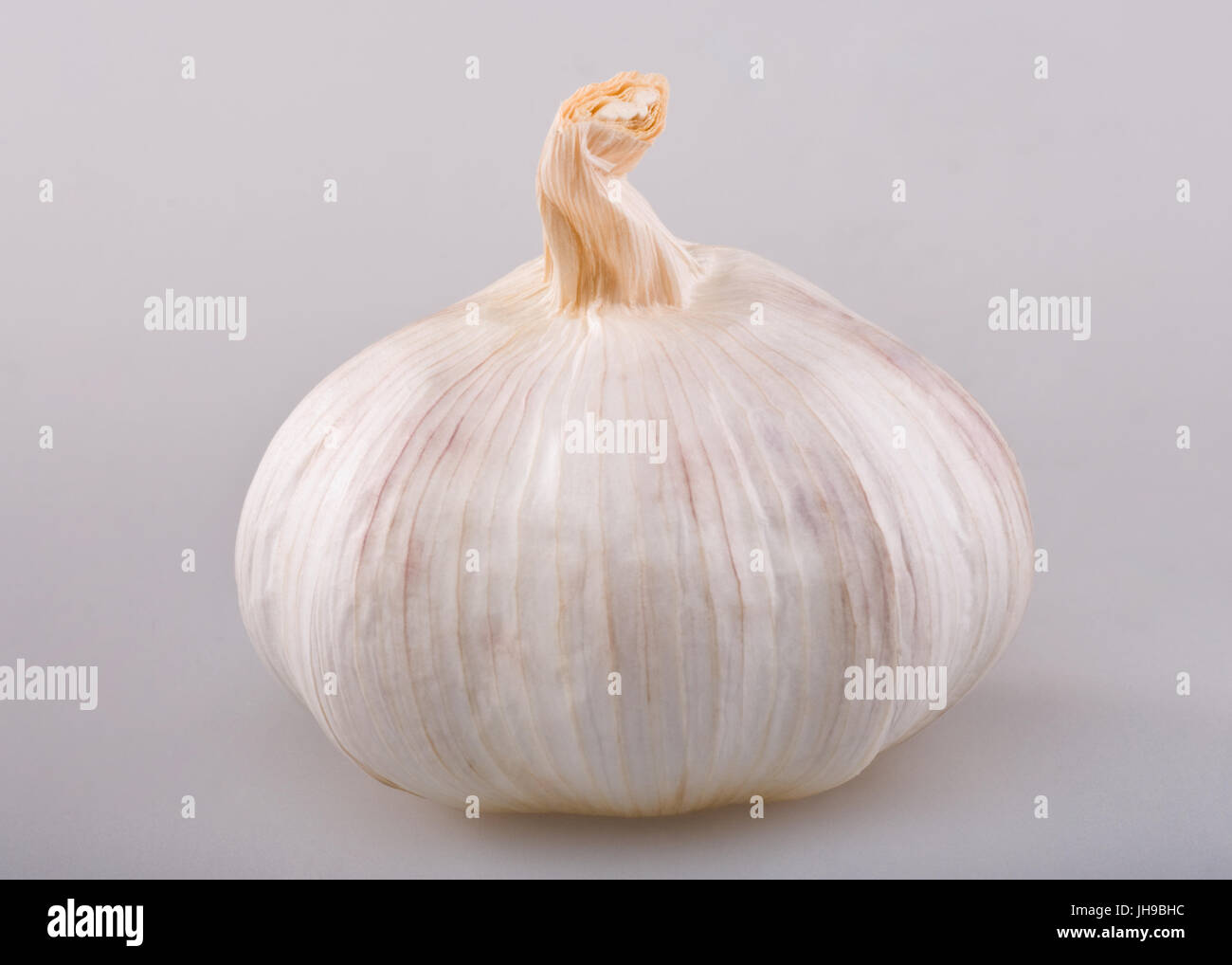 Single whole white garlic on white background. Studio shoot Stock Photo ...
