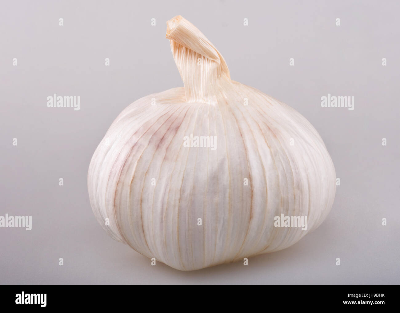 Single whole white garlic on white background. Studio shoot Stock Photo ...