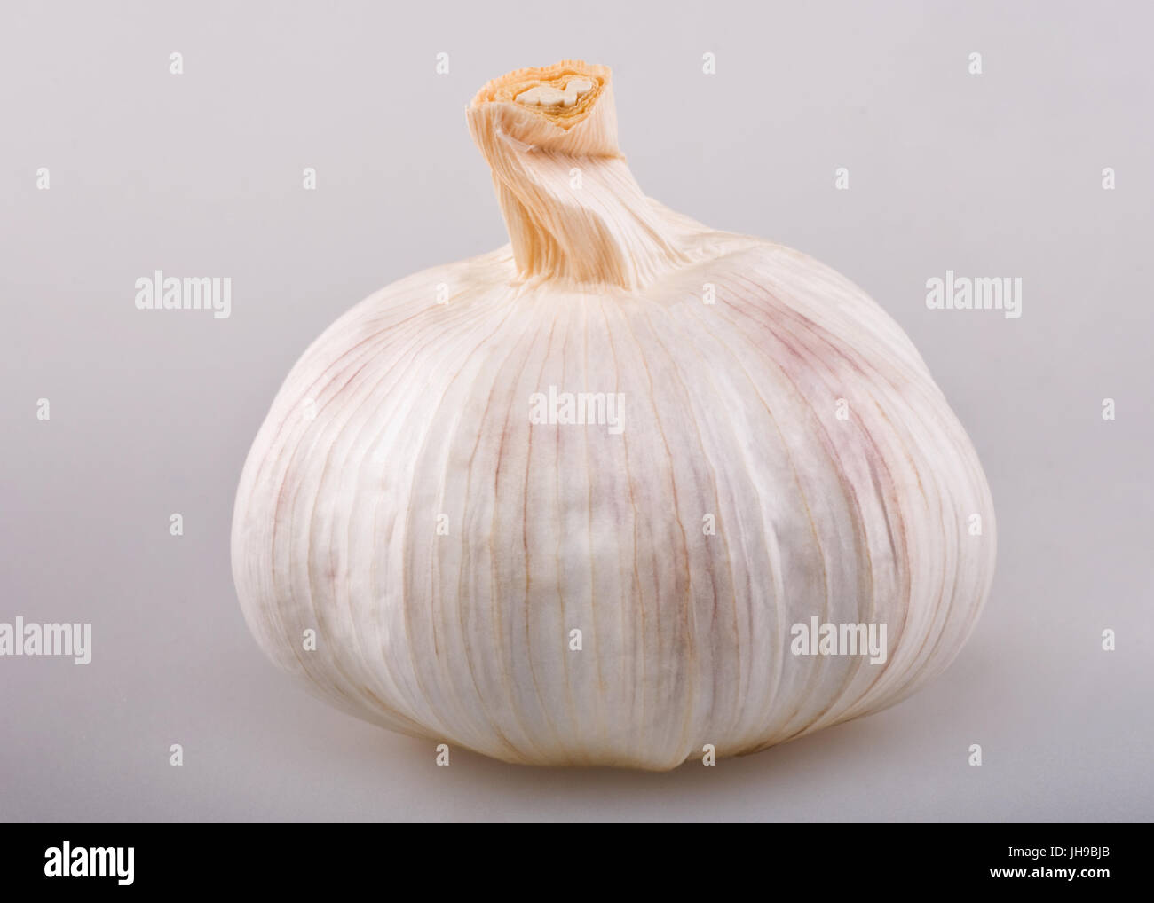 Single whole white garlic on white background. Studio shoot Stock Photo ...