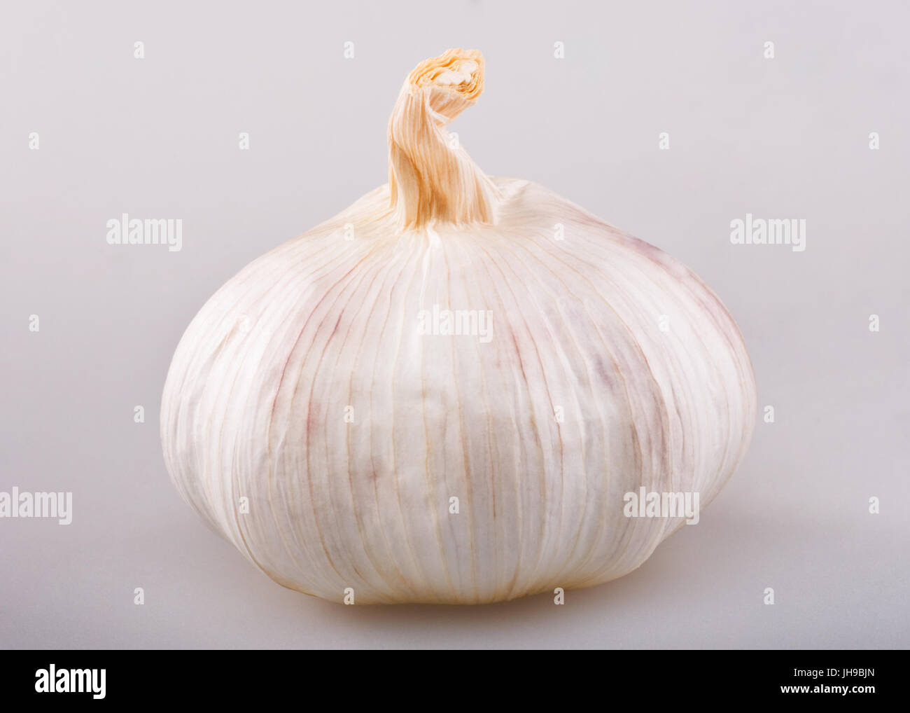 Single whole white garlic on white background. Studio shoot Stock Photo ...