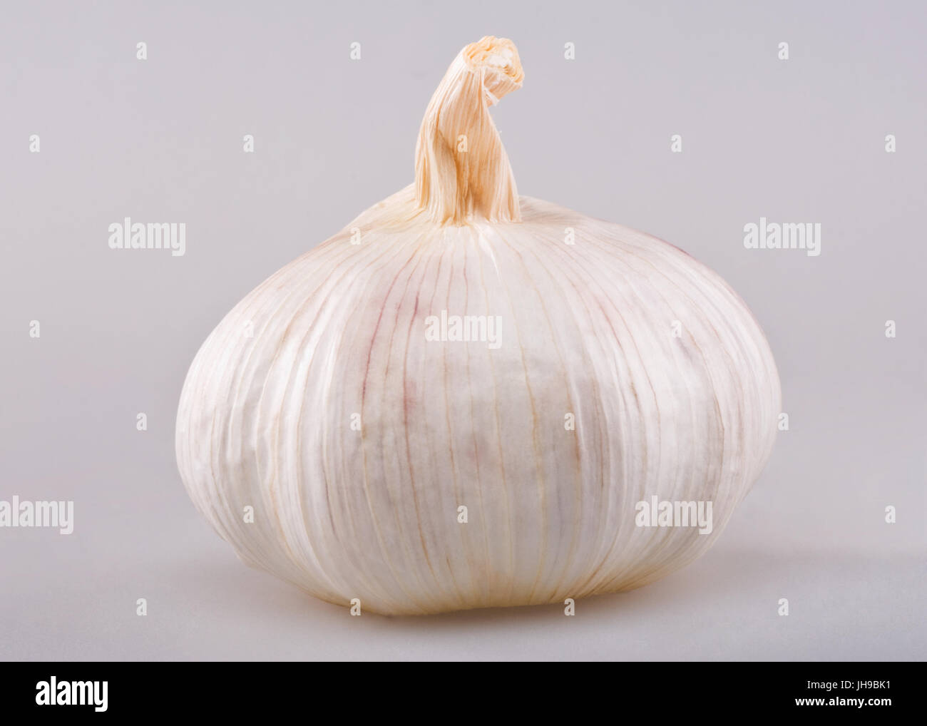 Single whole white garlic on white background. Studio shoot Stock Photo ...