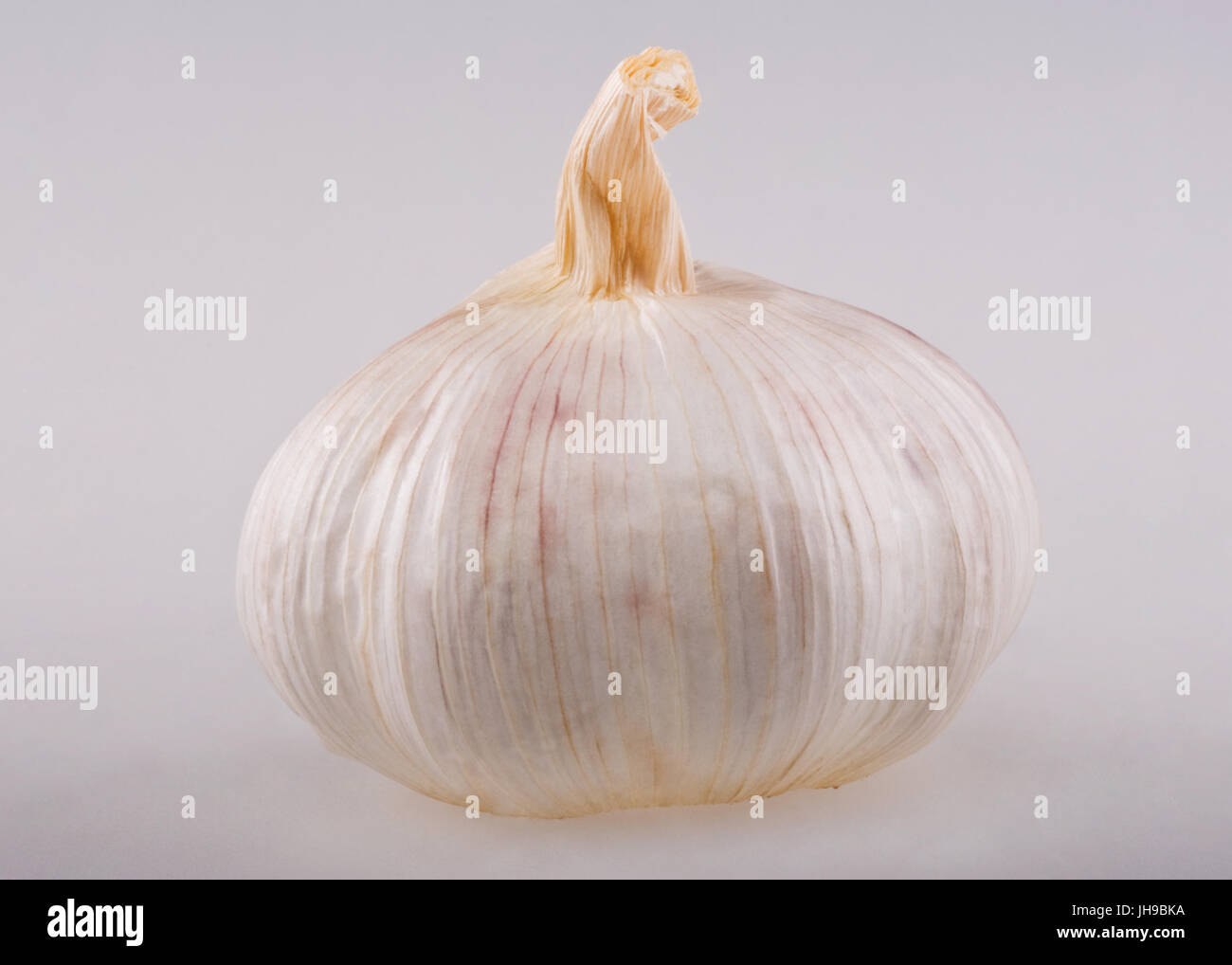 White background studio hi-res stock photography and images - Alamy