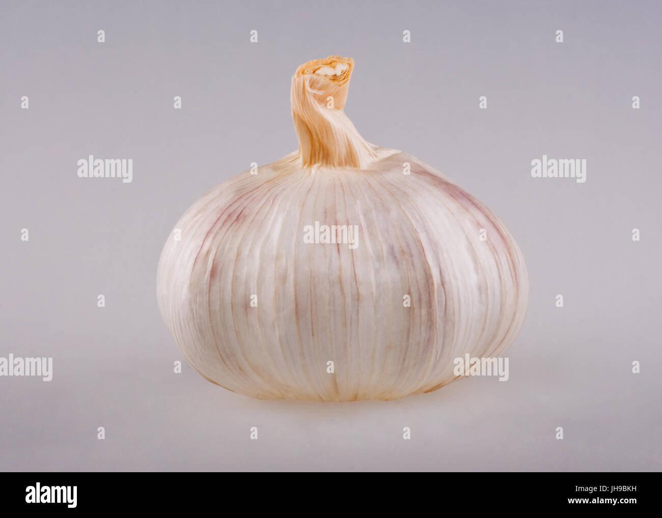 Single whole white garlic on white background. Studio shoot Stock Photo ...