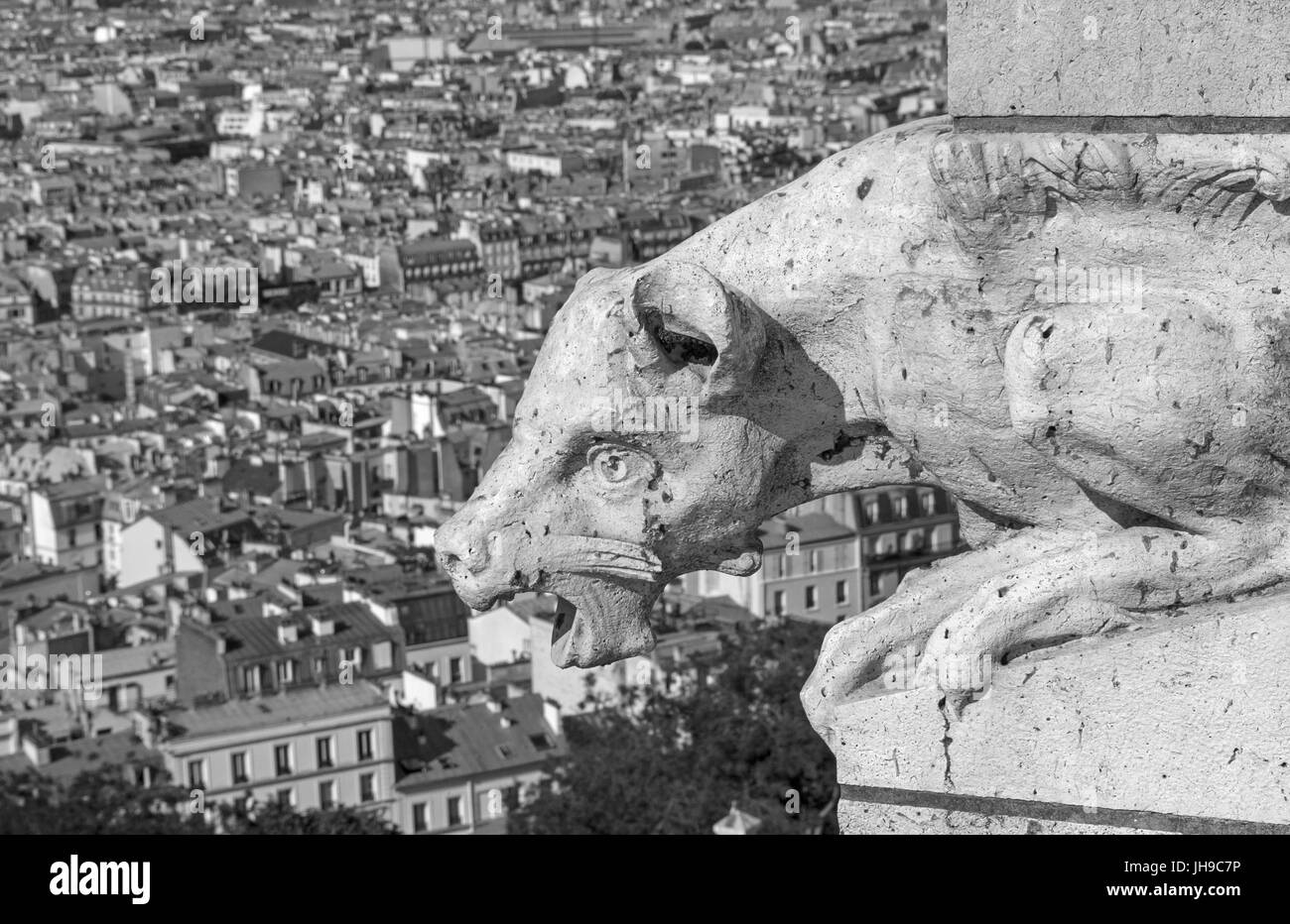 close up of gargoyle on The Basilica of the Sacred Heart of Paris Stock ...