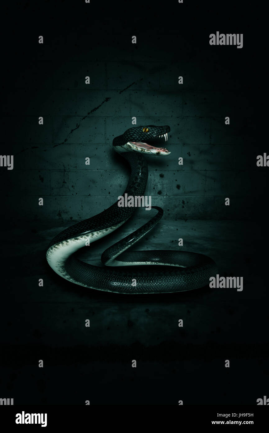 Giant Viper High Resolution Stock Photography and Images - Alamy