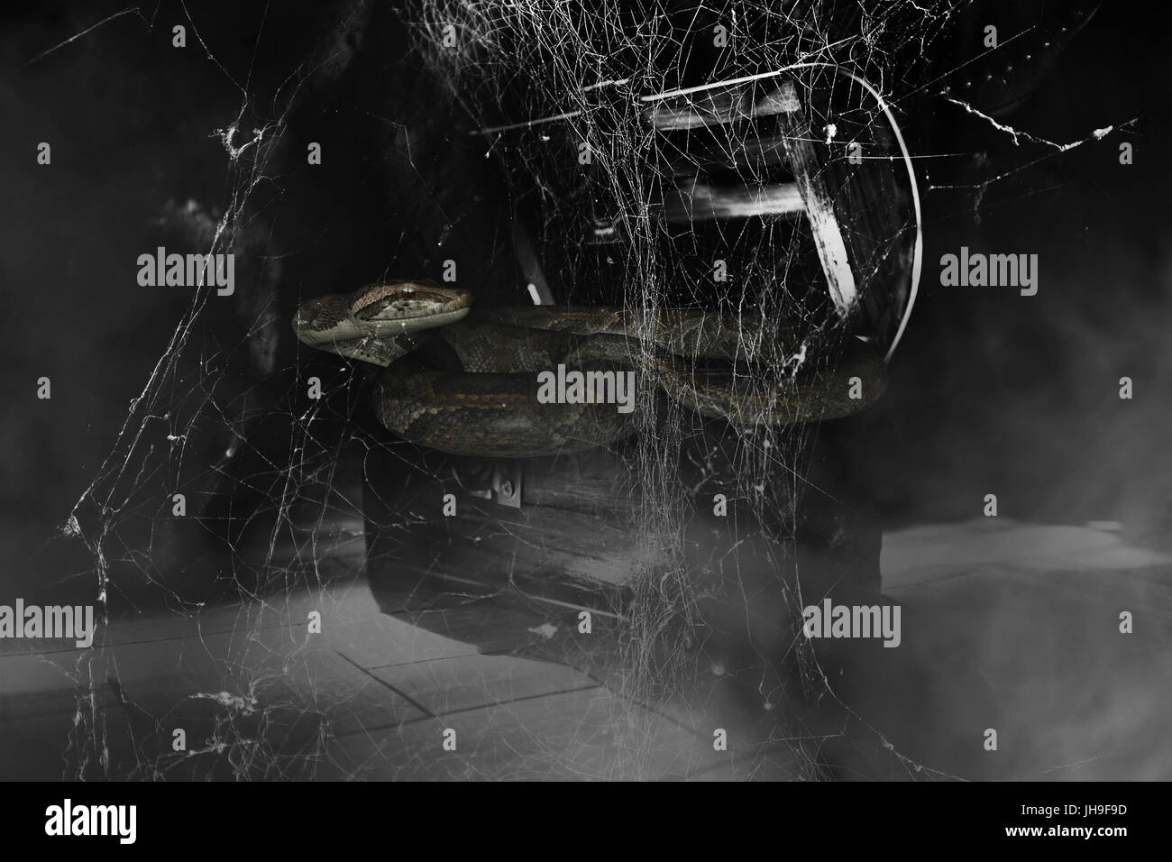 3d illustration of giant snake on treasure chest in the dark Stock ...