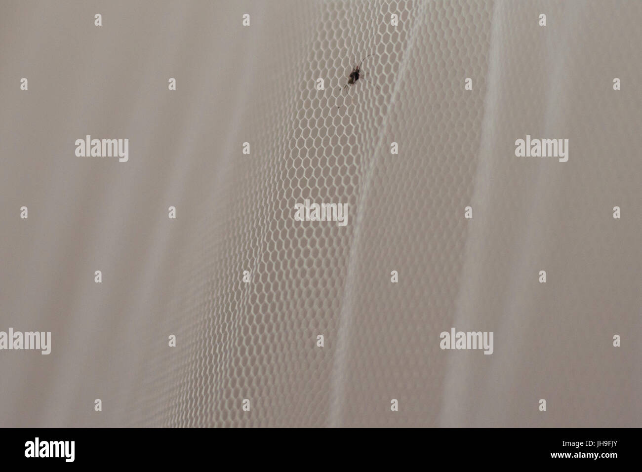 Mosquito nets hi-res stock photography and images - Alamy