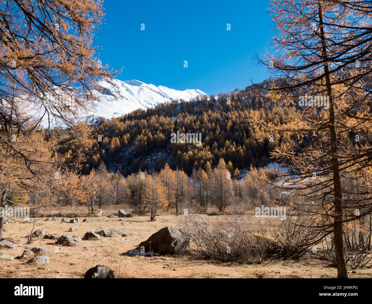 Val ferret autumn hi-res stock photography and images - Alamy