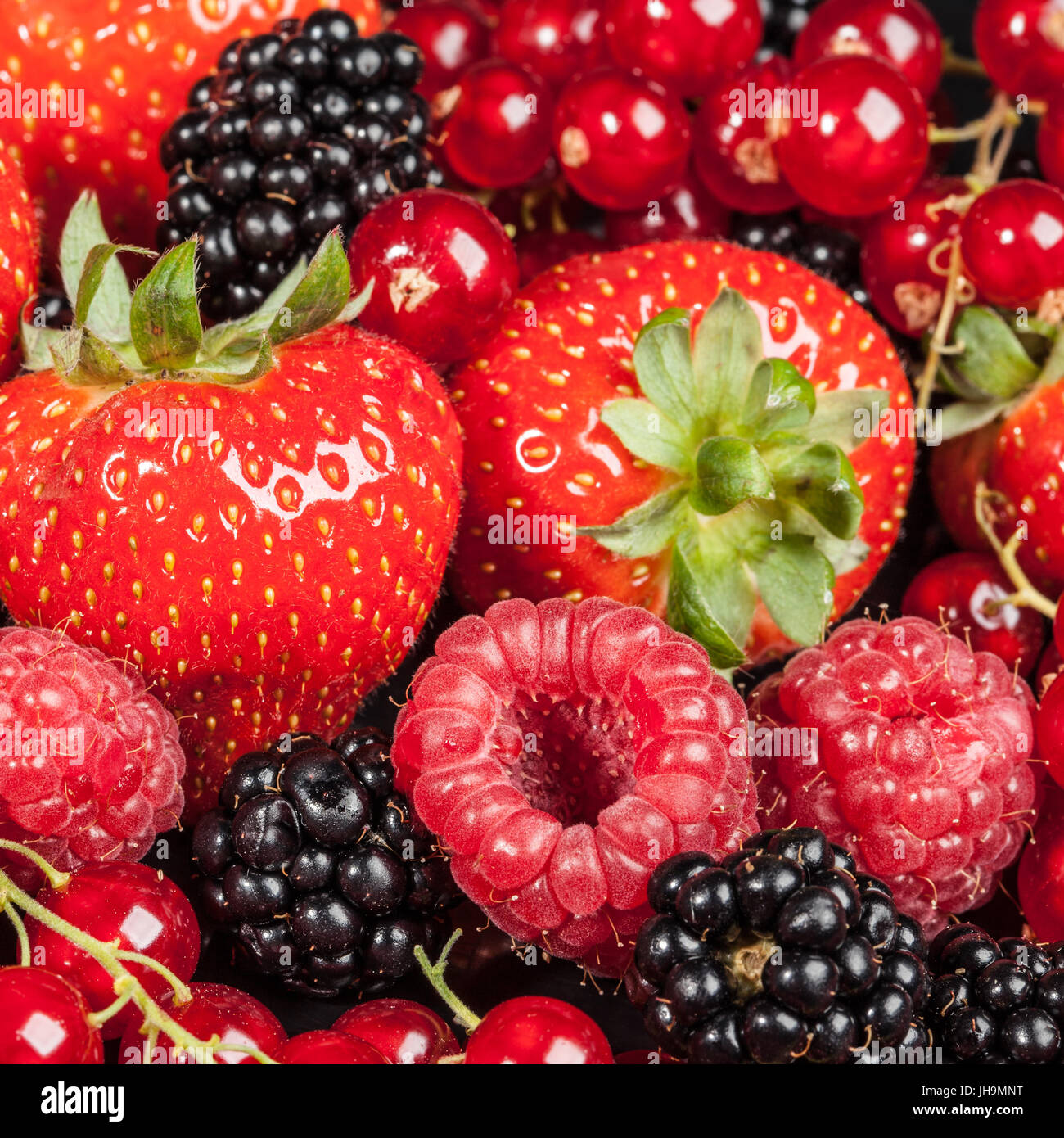 Variety of different berries background Stock Photo - Alamy