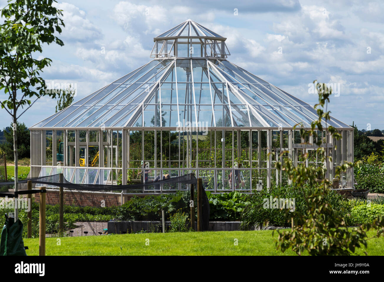 Witan global growth hi-res stock photography and images - Alamy