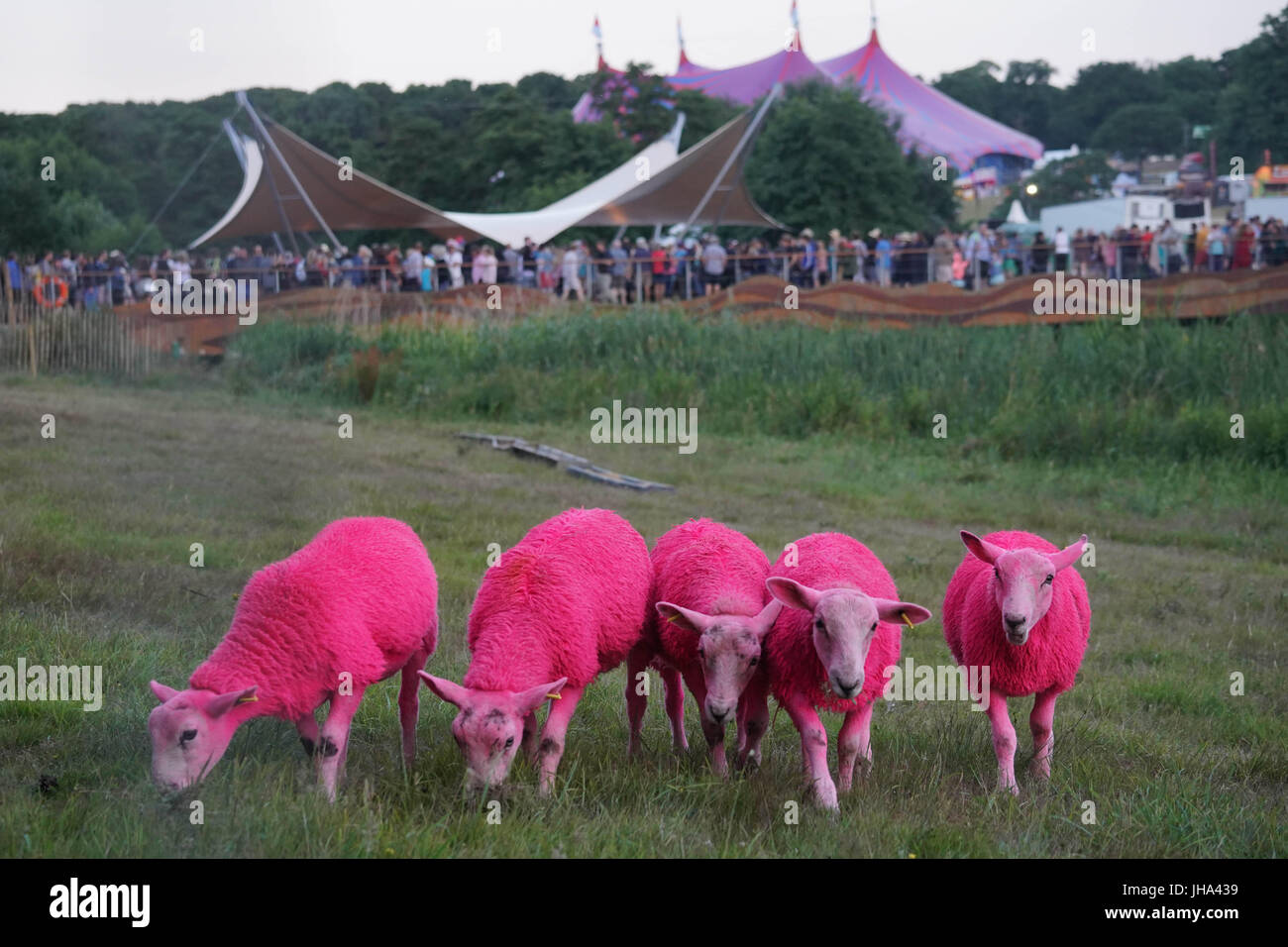 Latitude festival pink sheep hi-res stock photography and images - Alamy