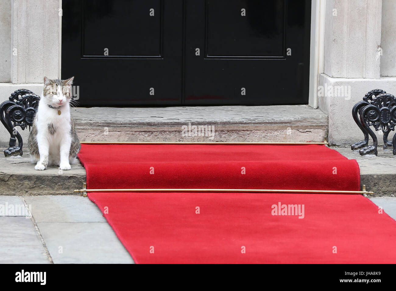 Chief mouser larry 10 downing police hi-res stock photography and ...