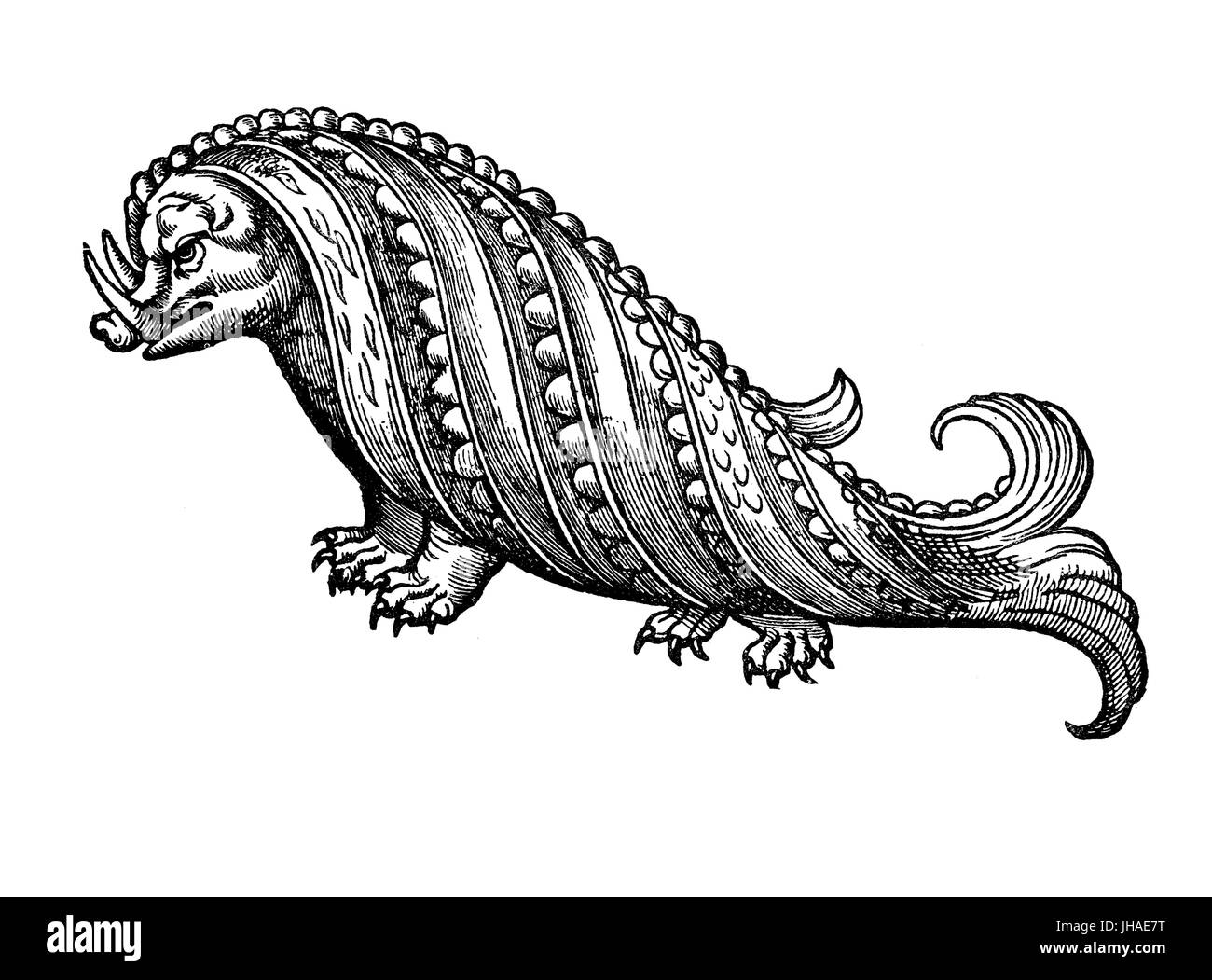 Monster creature drawing hi-res stock photography and images - Alamy