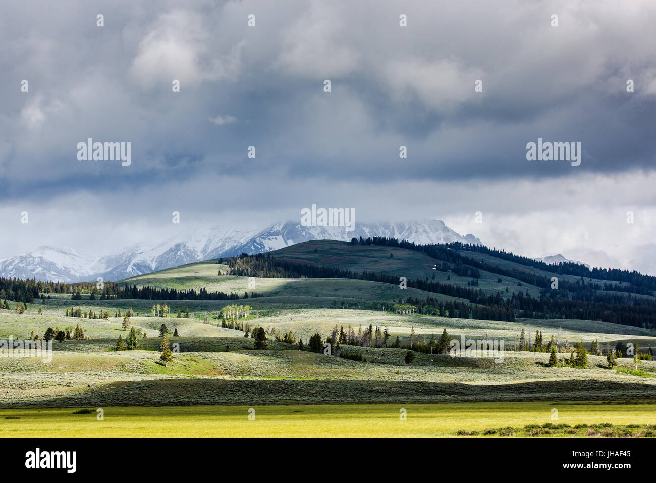 Park green hills hi-res stock photography and images - Alamy
