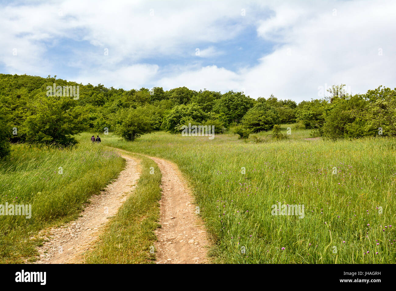 Rural country scene path winding hi-res stock photography and images ...