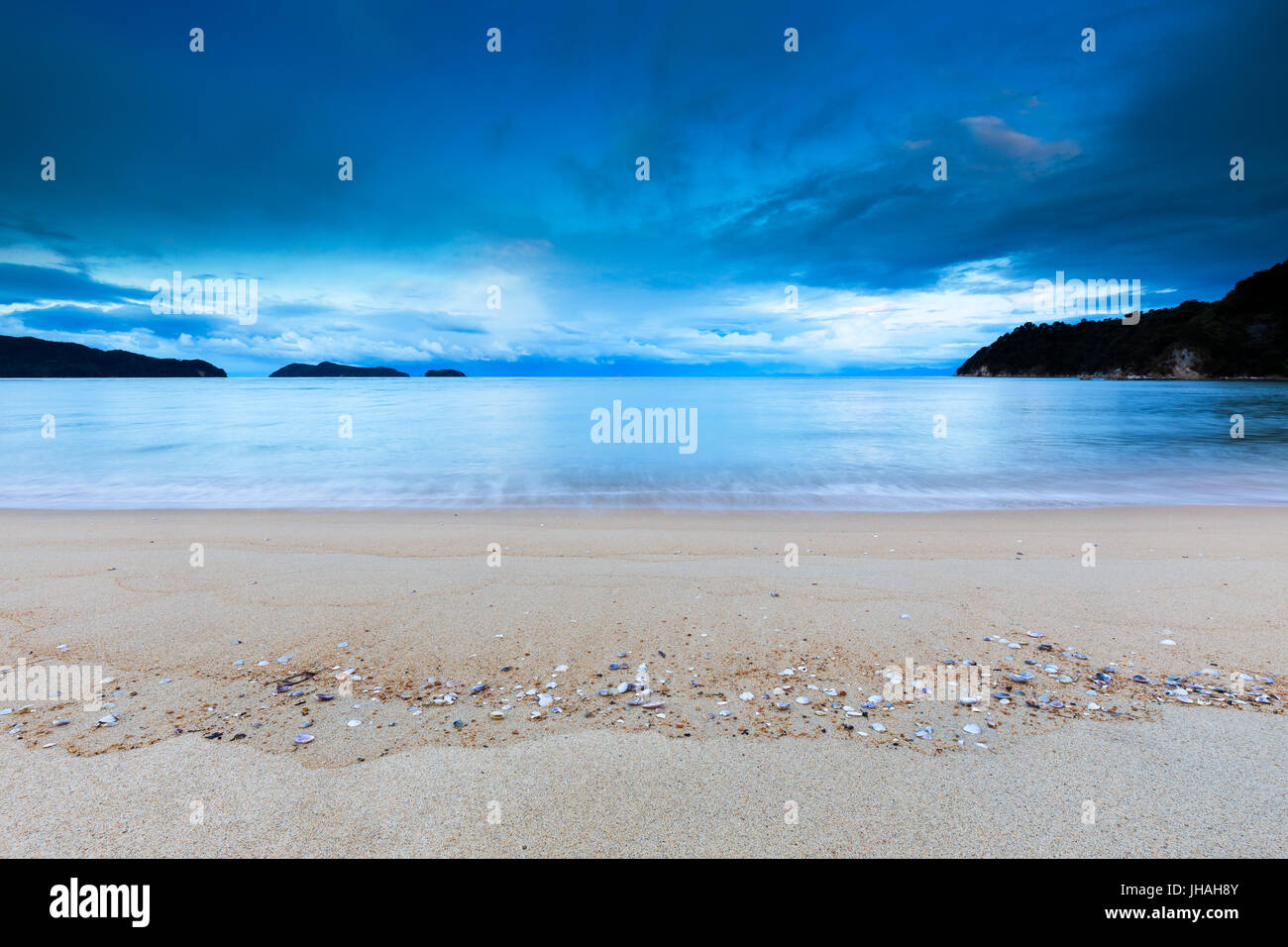 Shells washed ashore on a beautiful cold, blue beach in New Zealand ...
