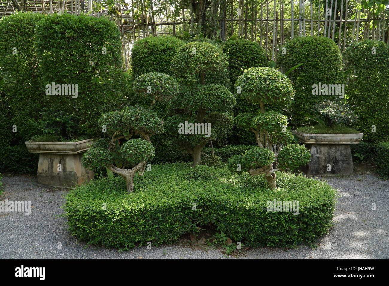 Beautiful Spherical bushes trees in green park Stock Photo - Alamy