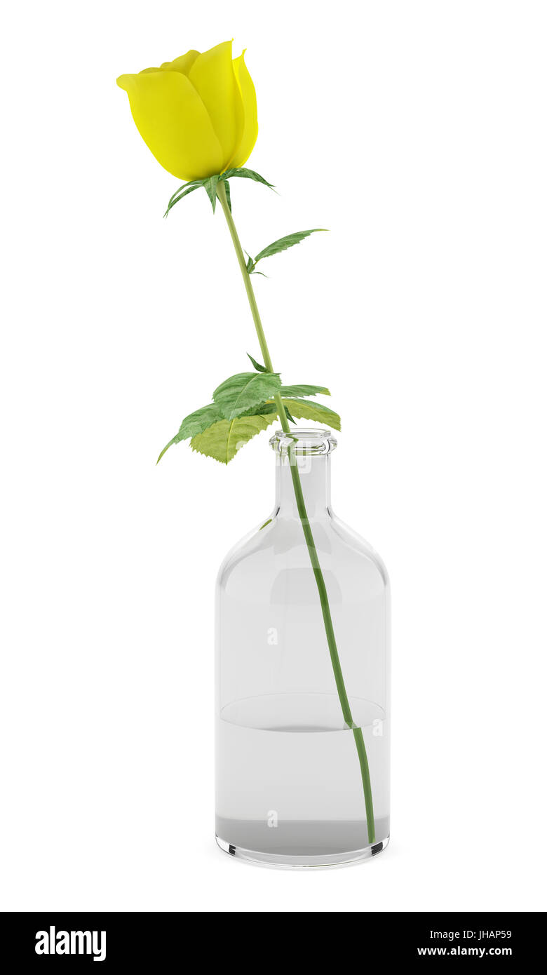 Single Yellow Rose In Vase