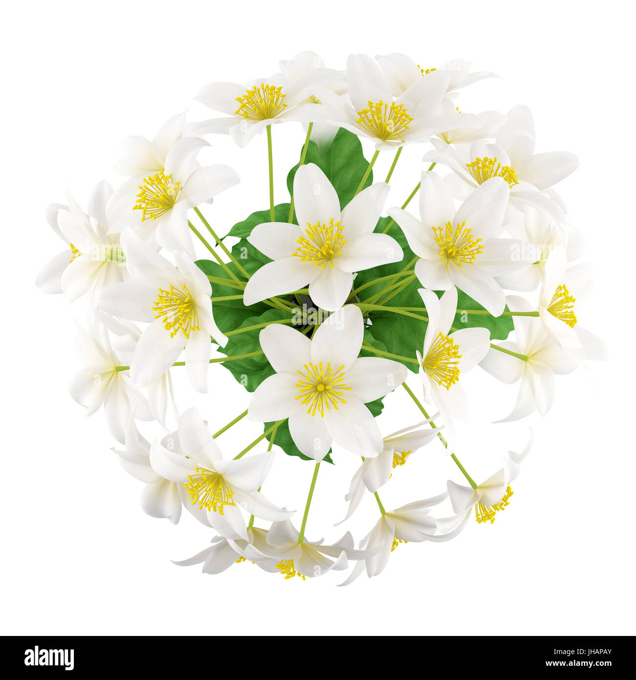 top view of flowers in vase isolated on white background. 3d ...