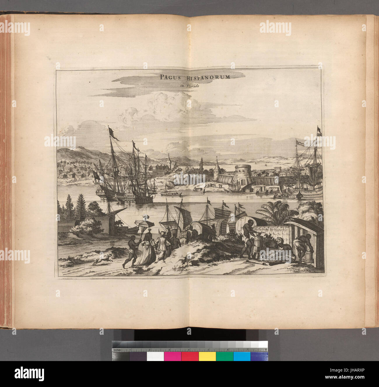 Pagus hi-res stock photography and images - Alamy