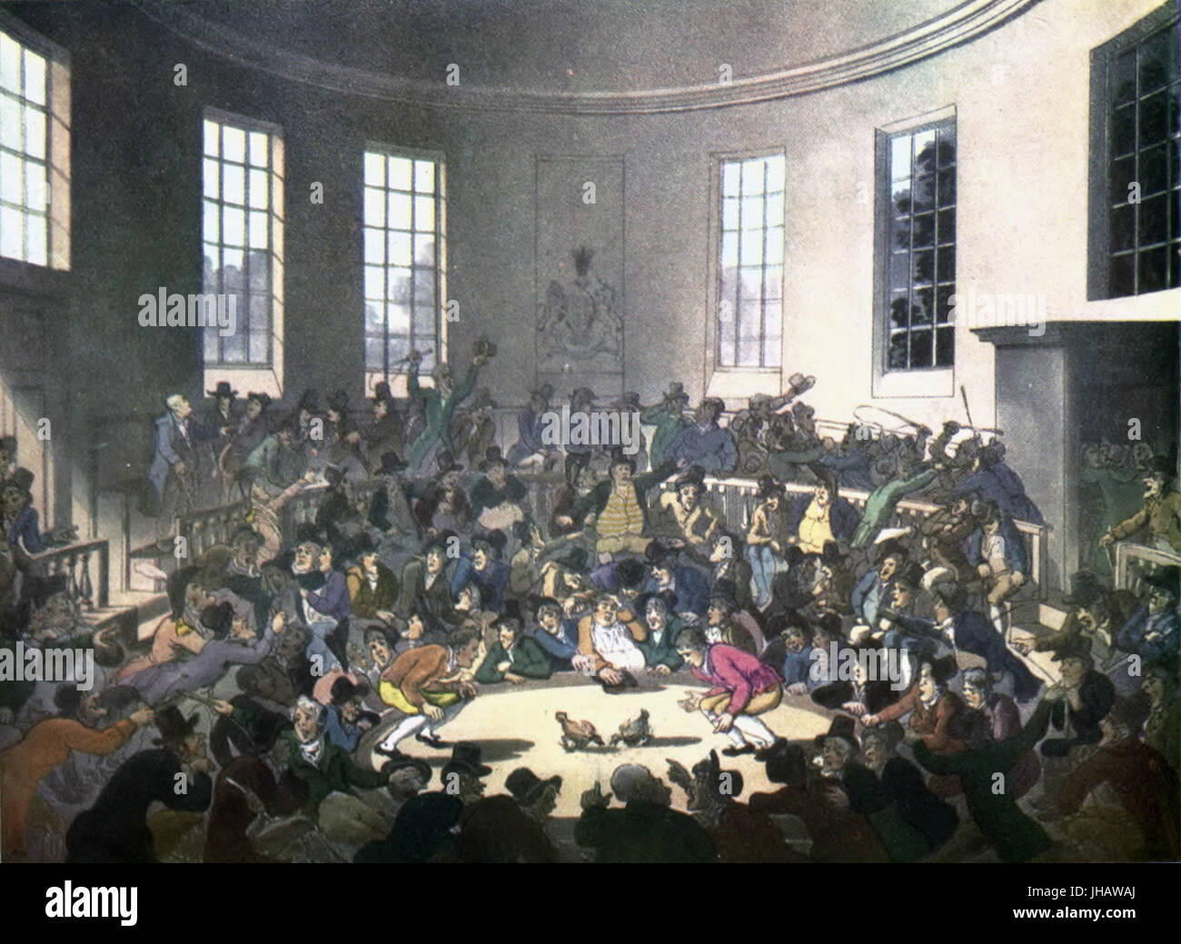 Microcosm of London Plate 018 - Royal Cock Pit (colour Stock Photo - Alamy
