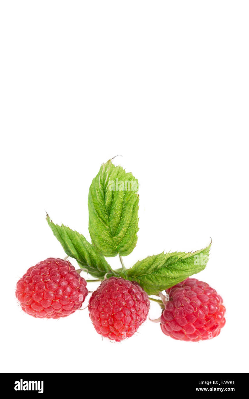 Bunch of a red raspberry isolated on white background Stock Photo - Alamy