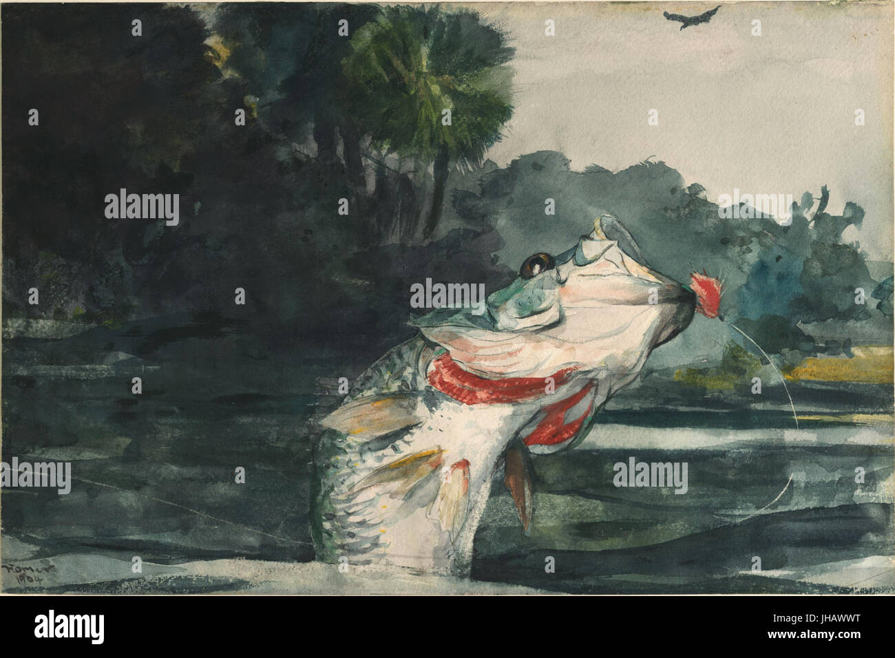 Winslow Homer - Life-Size Black Bass Stock Photo - Alamy